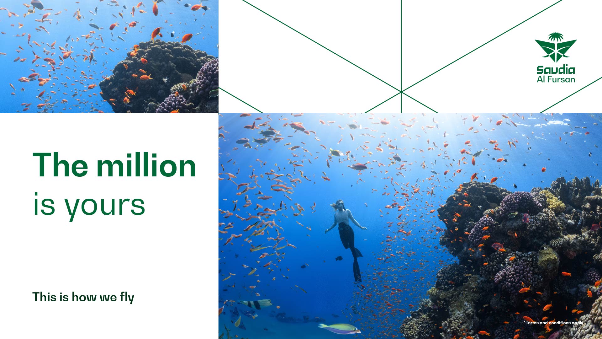 Saudia Concludes the AlFursan Loyalty Program Campaign ‘The Million is ...