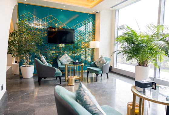 ALTANFEETHI VIP Service