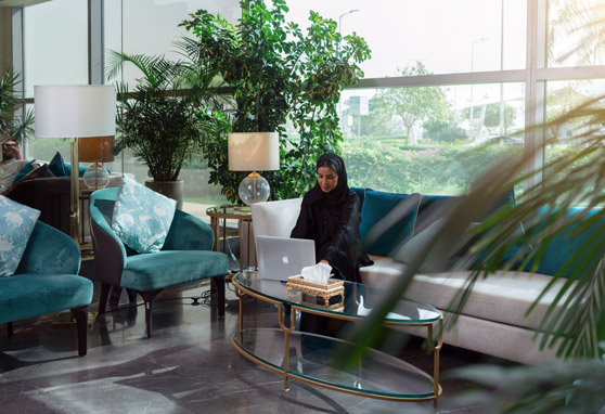 ALTANFEETHI VIP Service